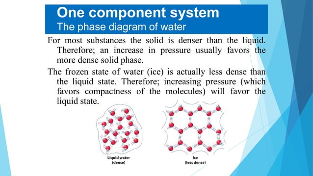 The phase rule | PDF | Chemistry | Science