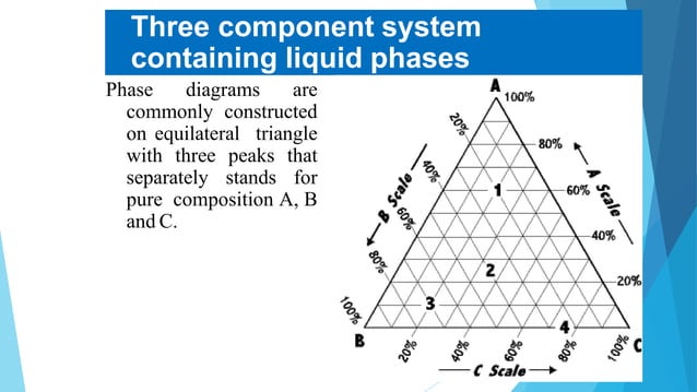The phase rule | PDF | Chemistry | Science