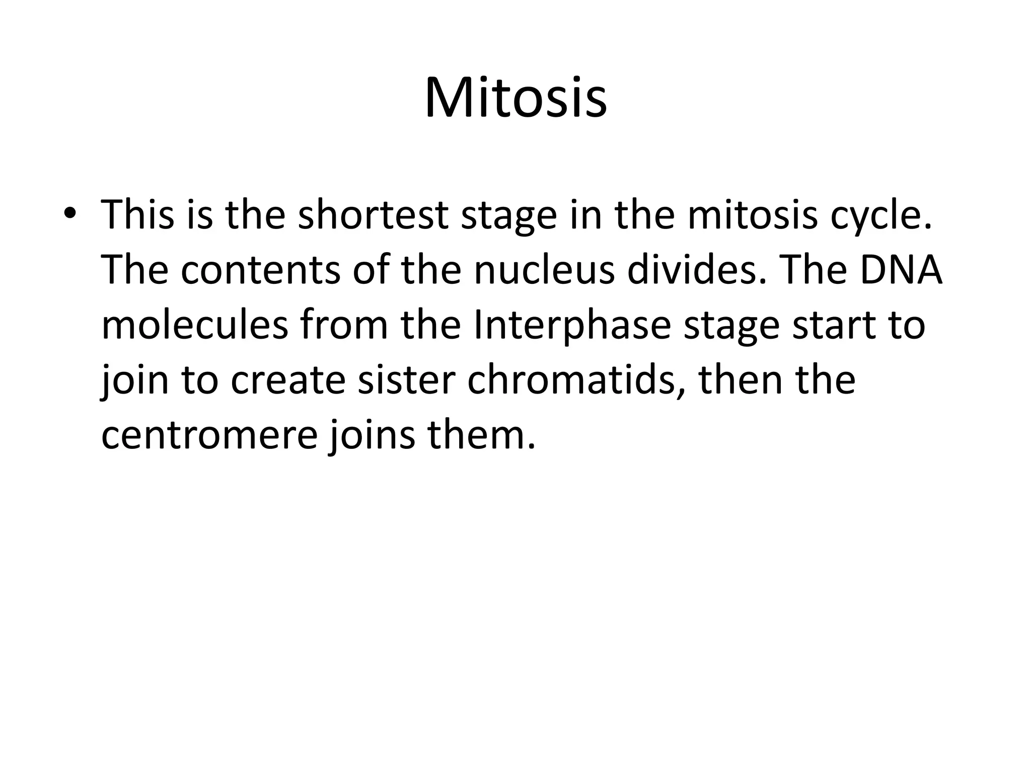 The Phases Of Mitosis | PPT