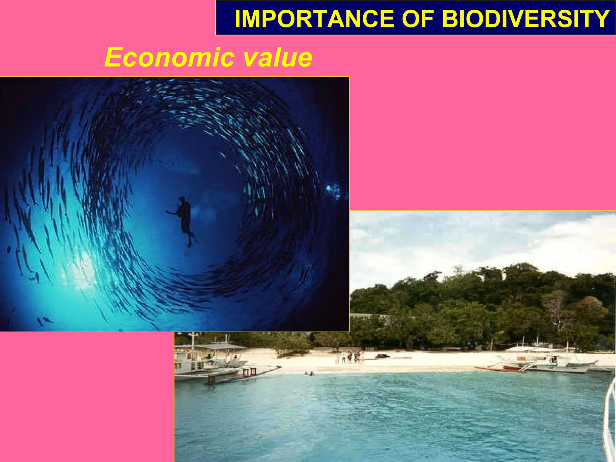 The Philippine Envi | PPT