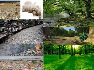 The philippine environment | PPTX