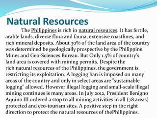 The philippine environment | PPTX