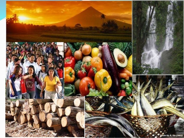 The philippine environment