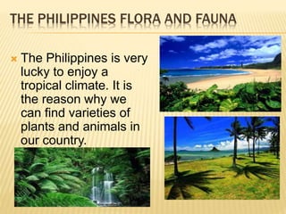 The philippine flora and fauna | PPTX