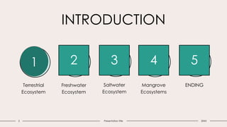 The Philippines Ecosystem: Rich and Diverse.pptx