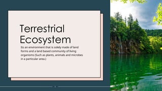 The Philippines Ecosystem: Rich and Diverse.pptx | Zoos & Aquariums ...