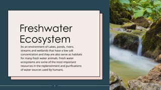 The Philippines Ecosystem: Rich and Diverse.pptx | Zoos & Aquariums ...