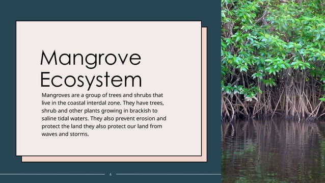 The Philippines Ecosystem: Rich and Diverse.pptx