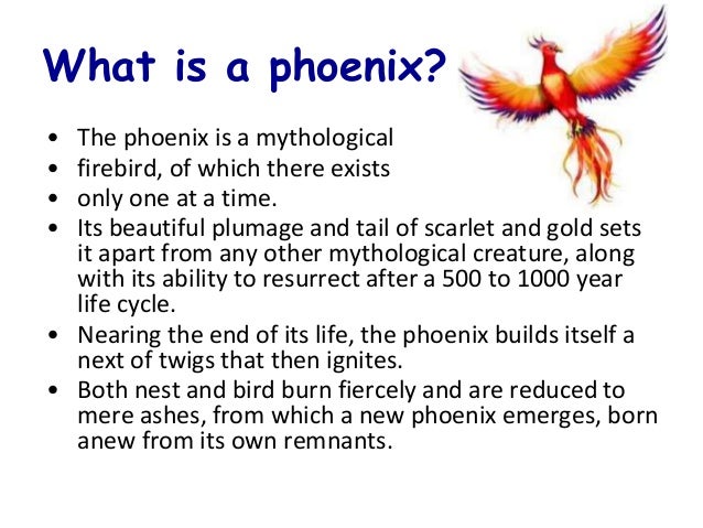 The phoenix