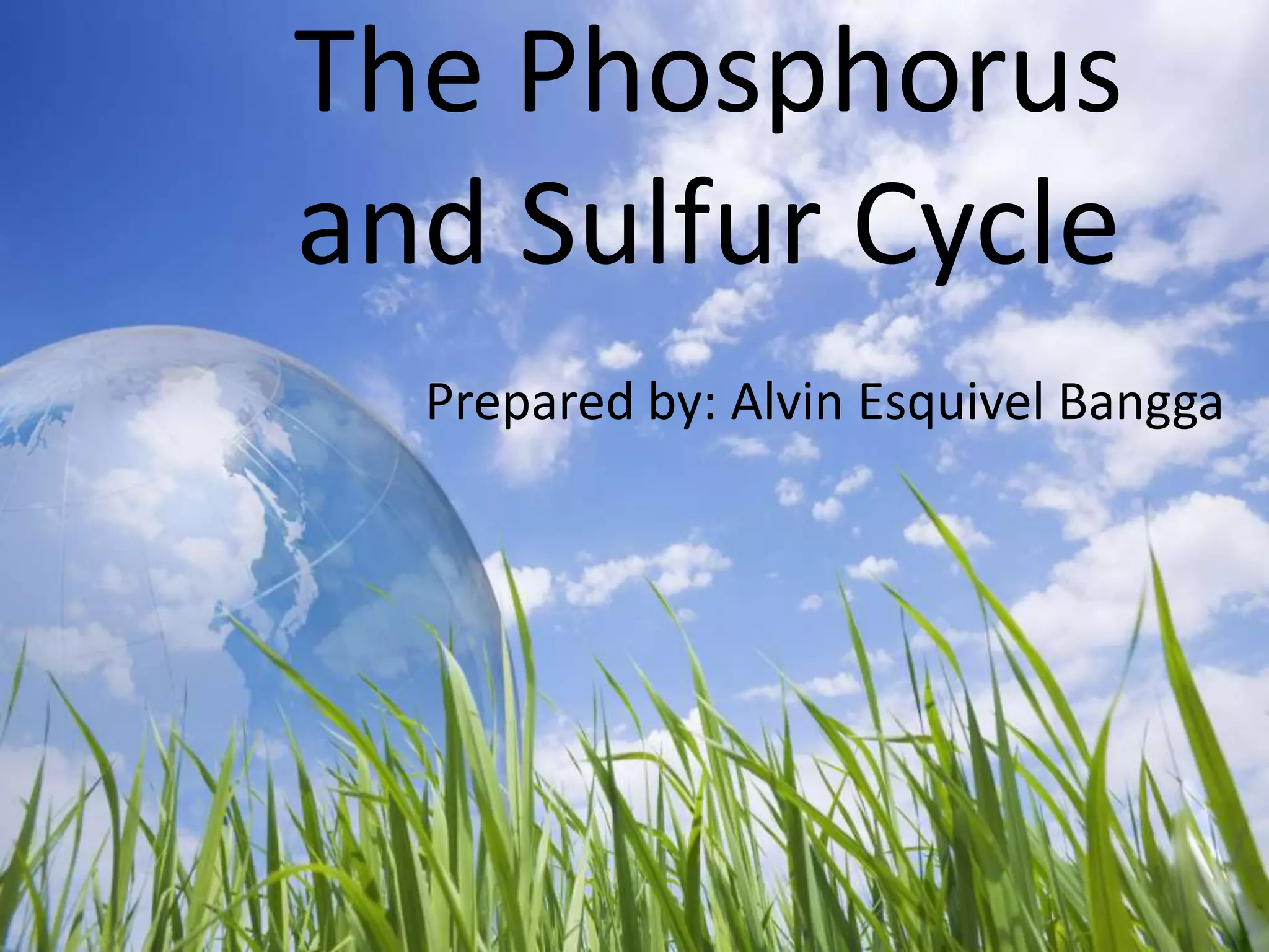 The phosphorus and sulfur cycle | PPTX