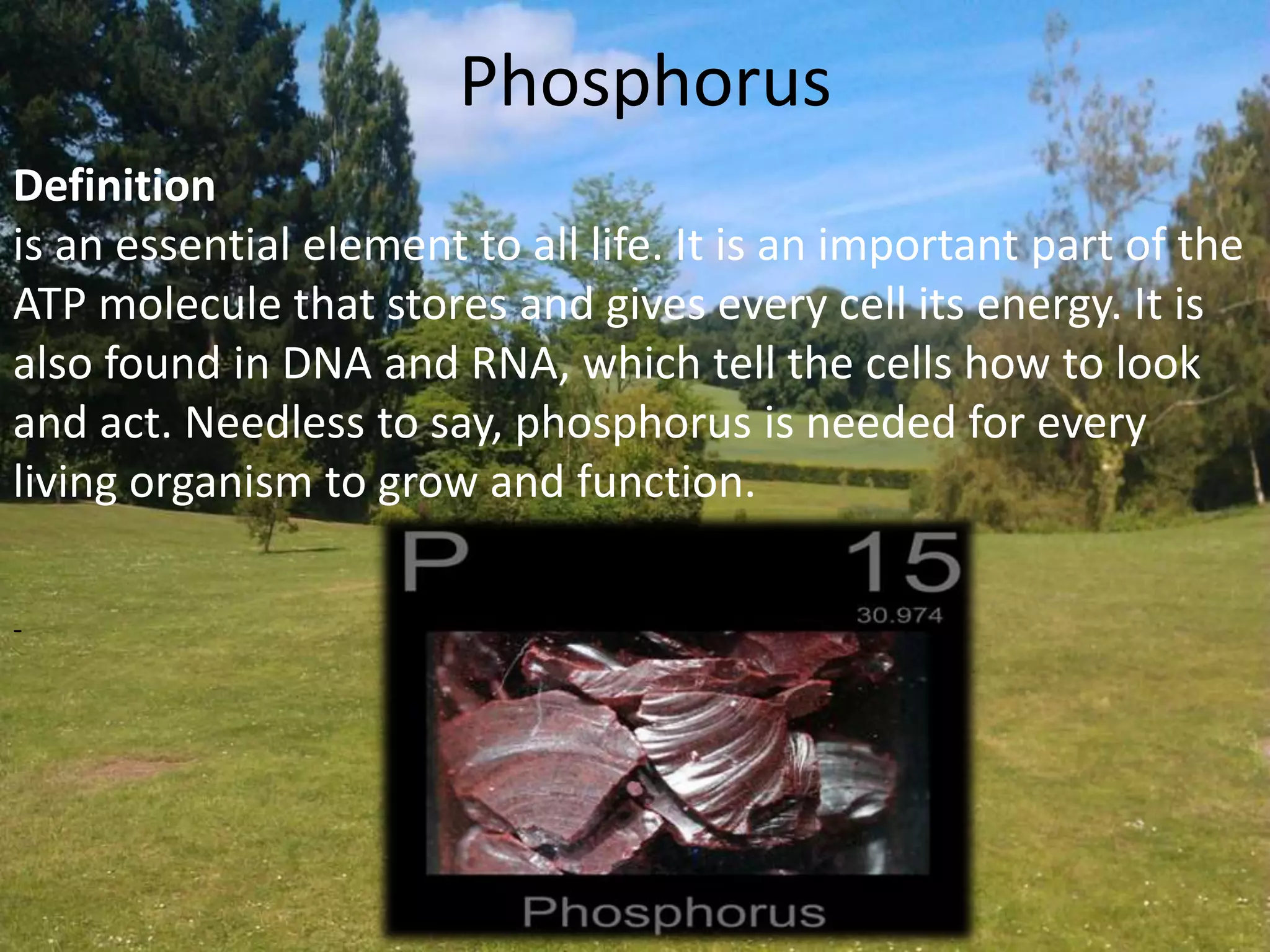 The phosphorus and sulfur cycle | PPTX