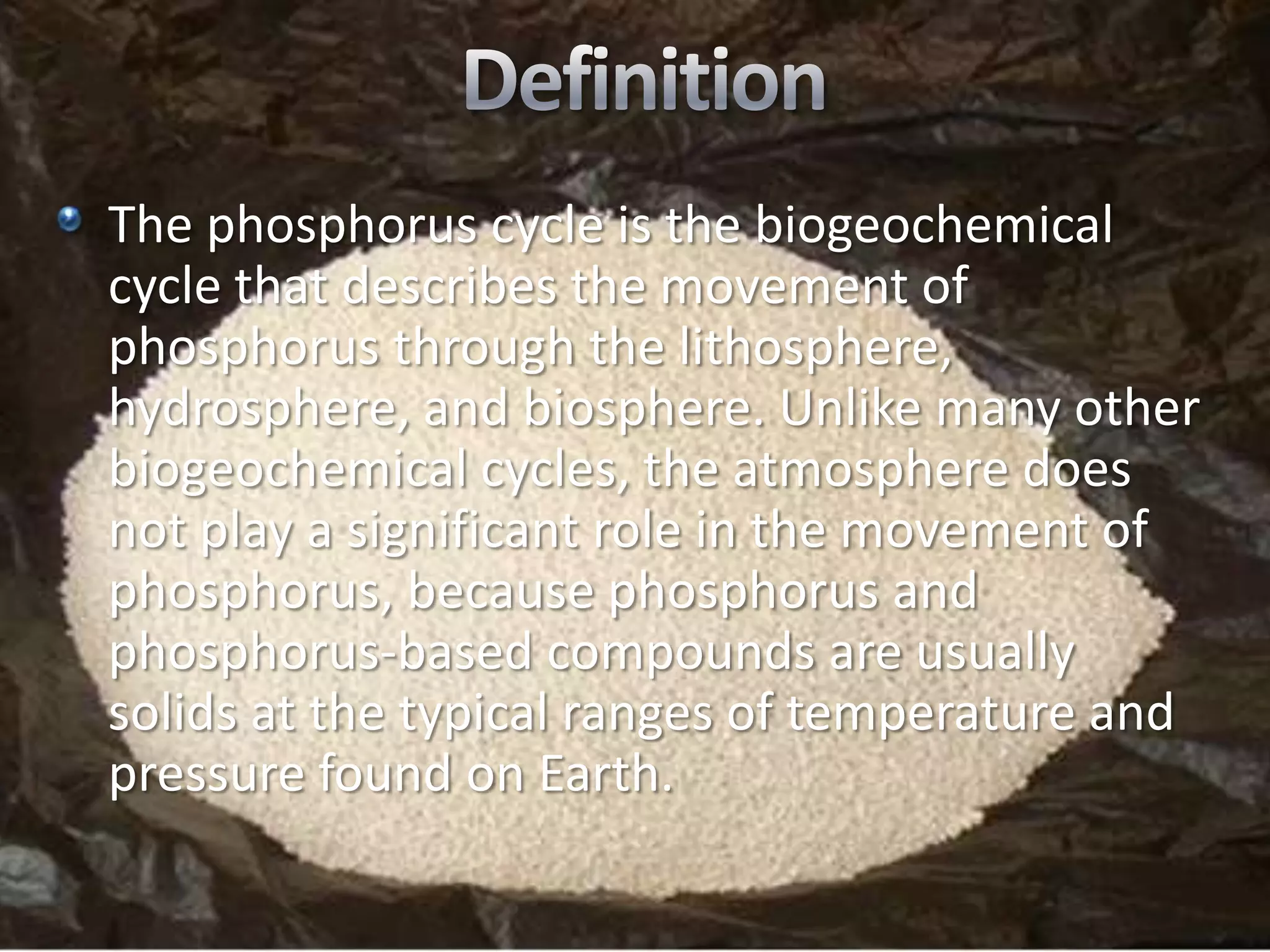 The phosphorus cycle | PPTX