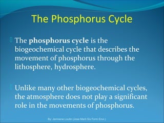 The phosphorus cycle | PPT