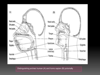 The physical adaptation source | PPTX