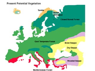 The Physical Geography of Europe | PPT