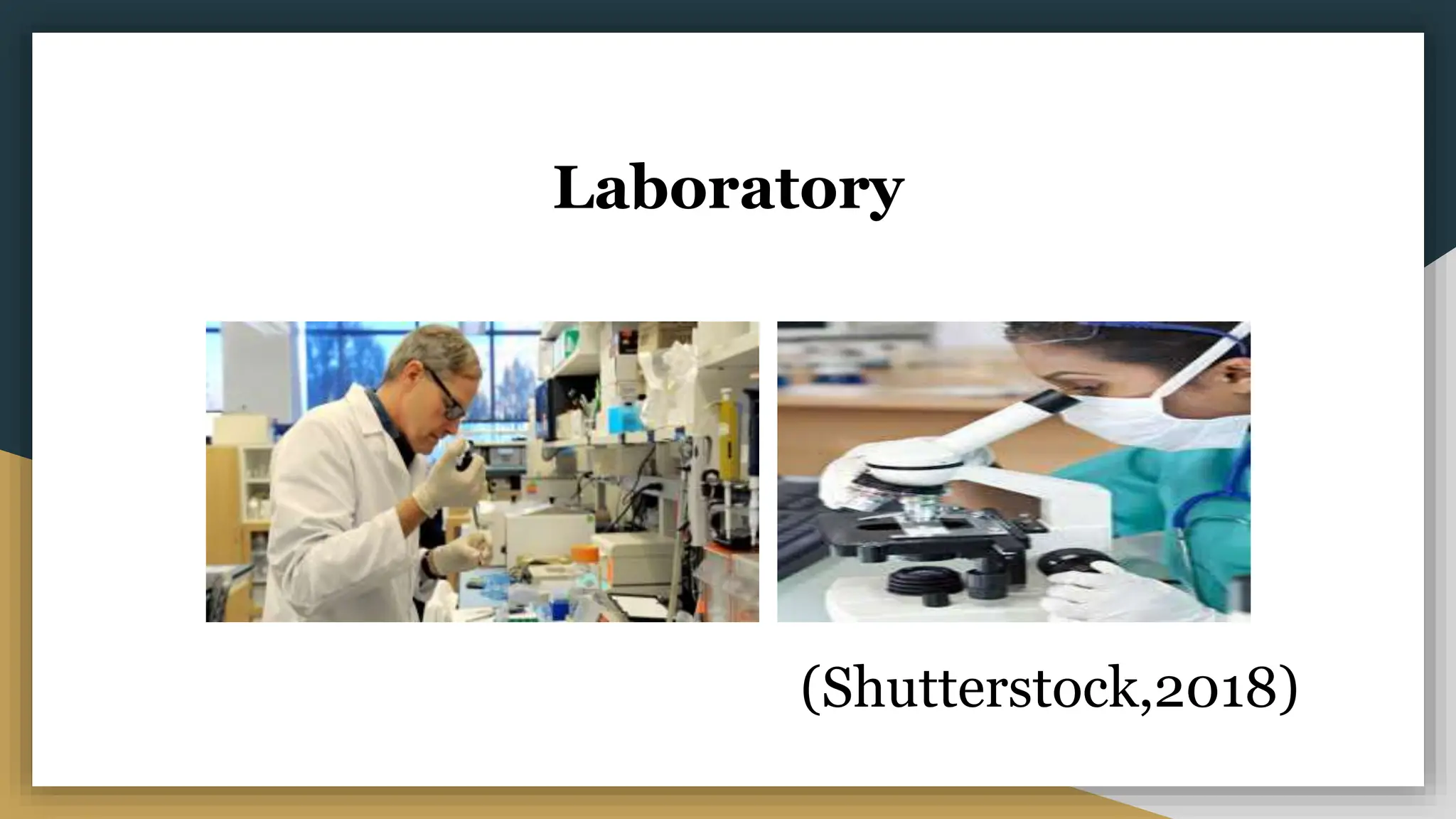 The Physical Layout of the Recovery Room and ICU (1) (1).pptx