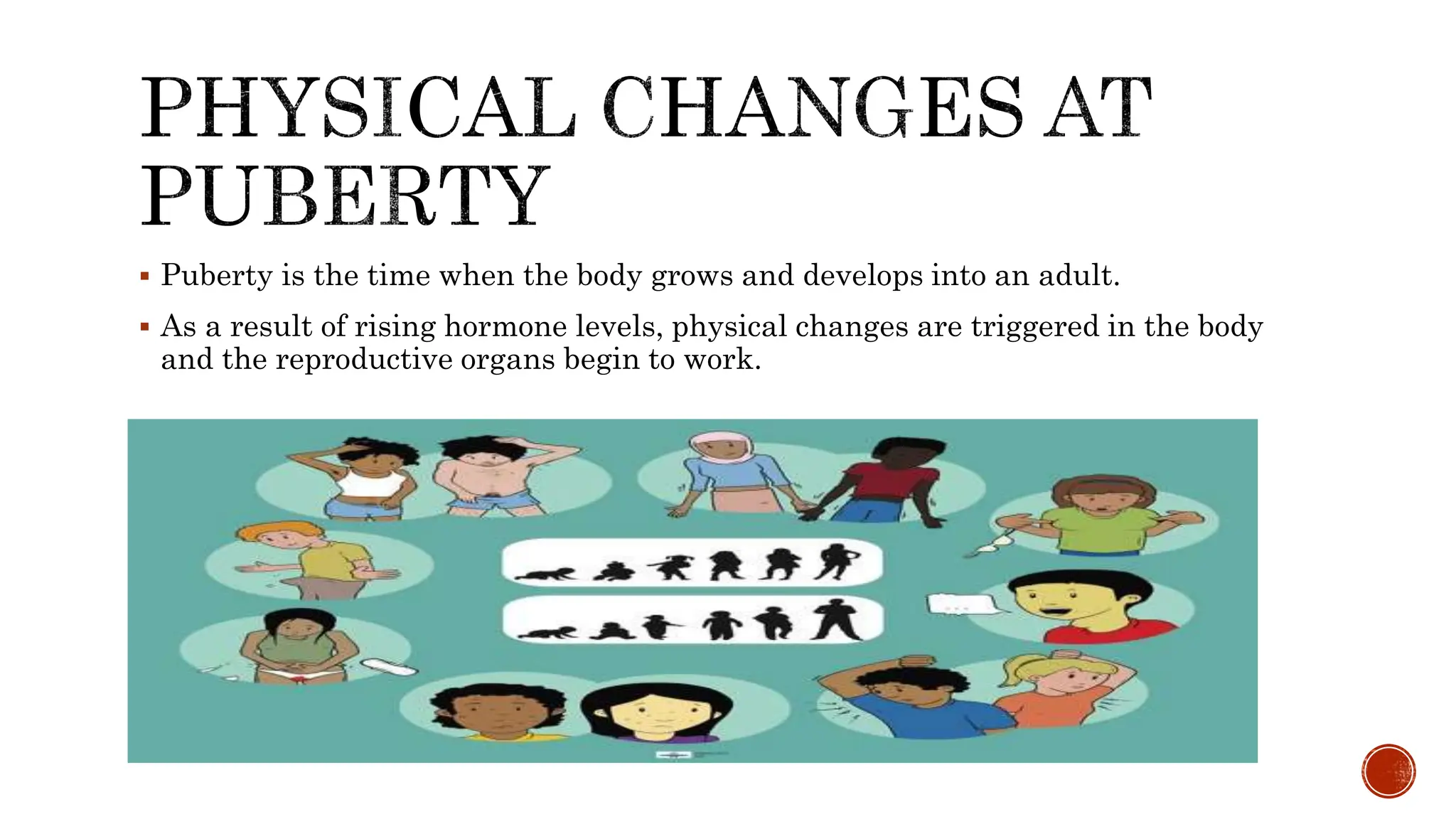 The Physical Self.pptx