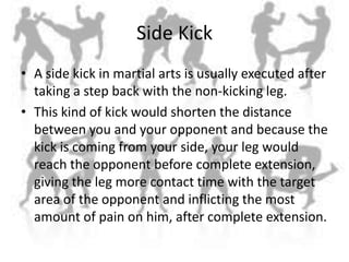 The physics behind martial arts | PPTX | Martial Arts | Sports