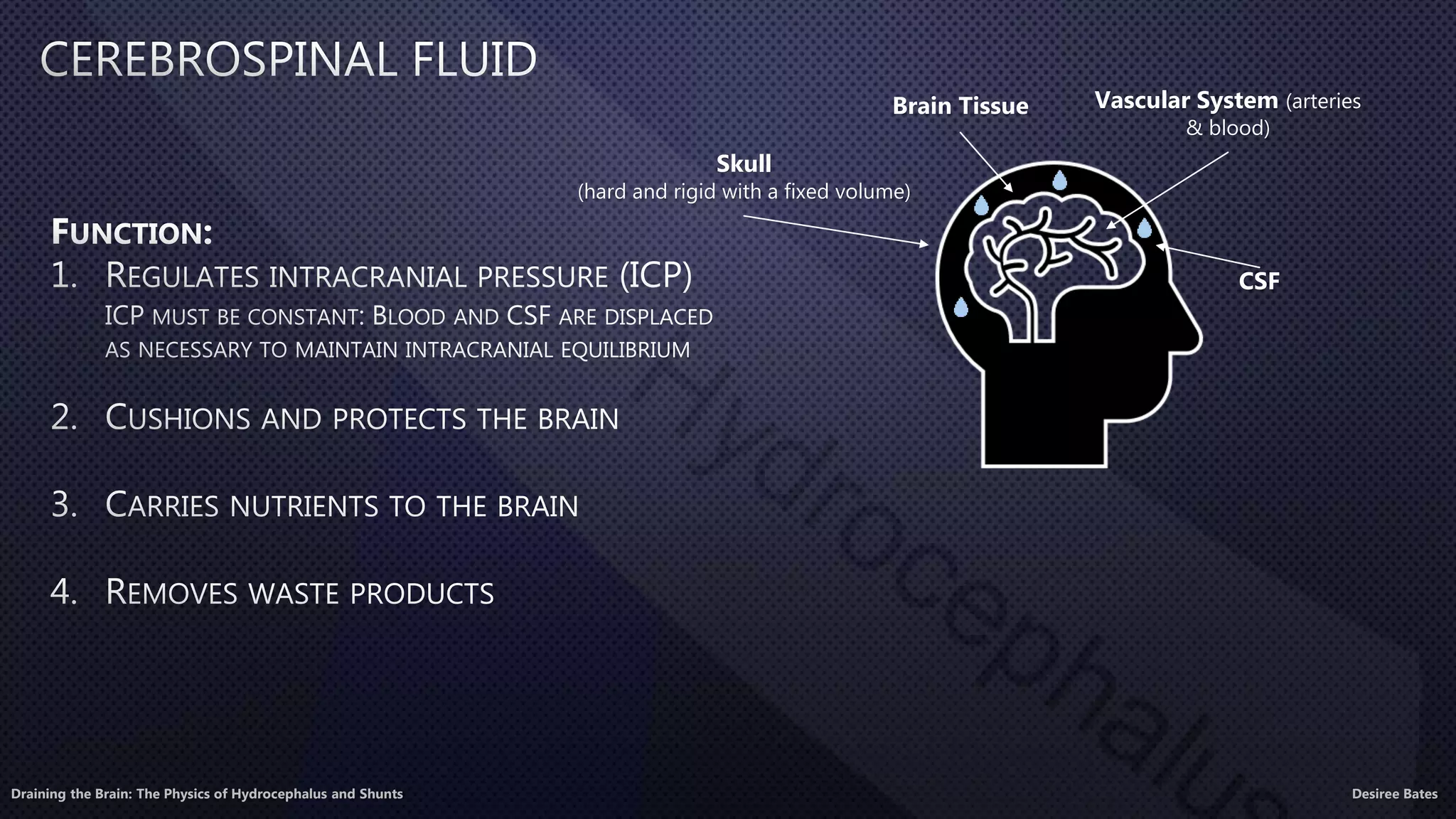 The Physics of Hydrocephalus and Shunts | PPTX