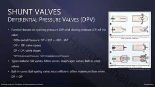 The Physics of Hydrocephalus and Shunts | PPTX | Brain and Nervous ...