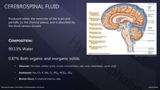 The Physics of Hydrocephalus and Shunts | PPTX | Brain and Nervous System Disorders | Diseases ...