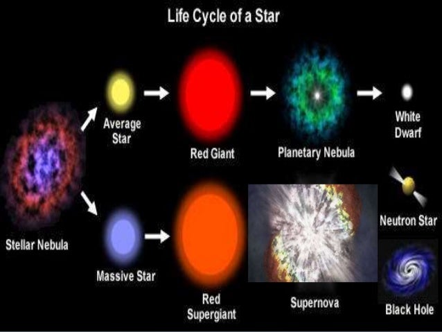 The physics of supernovae