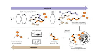 The Physiological And Pathological Role Of Kinins | PPTX