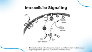 The Physiological and Pathophysiological Role of KININS.pptx