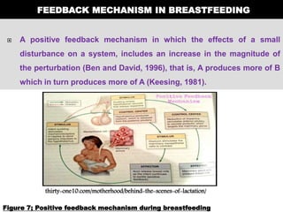 The physiology of breastfeeding and milk let down | PPTX