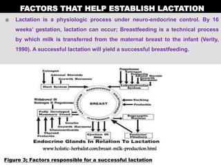 The physiology of breastfeeding and milk let down | PPTX