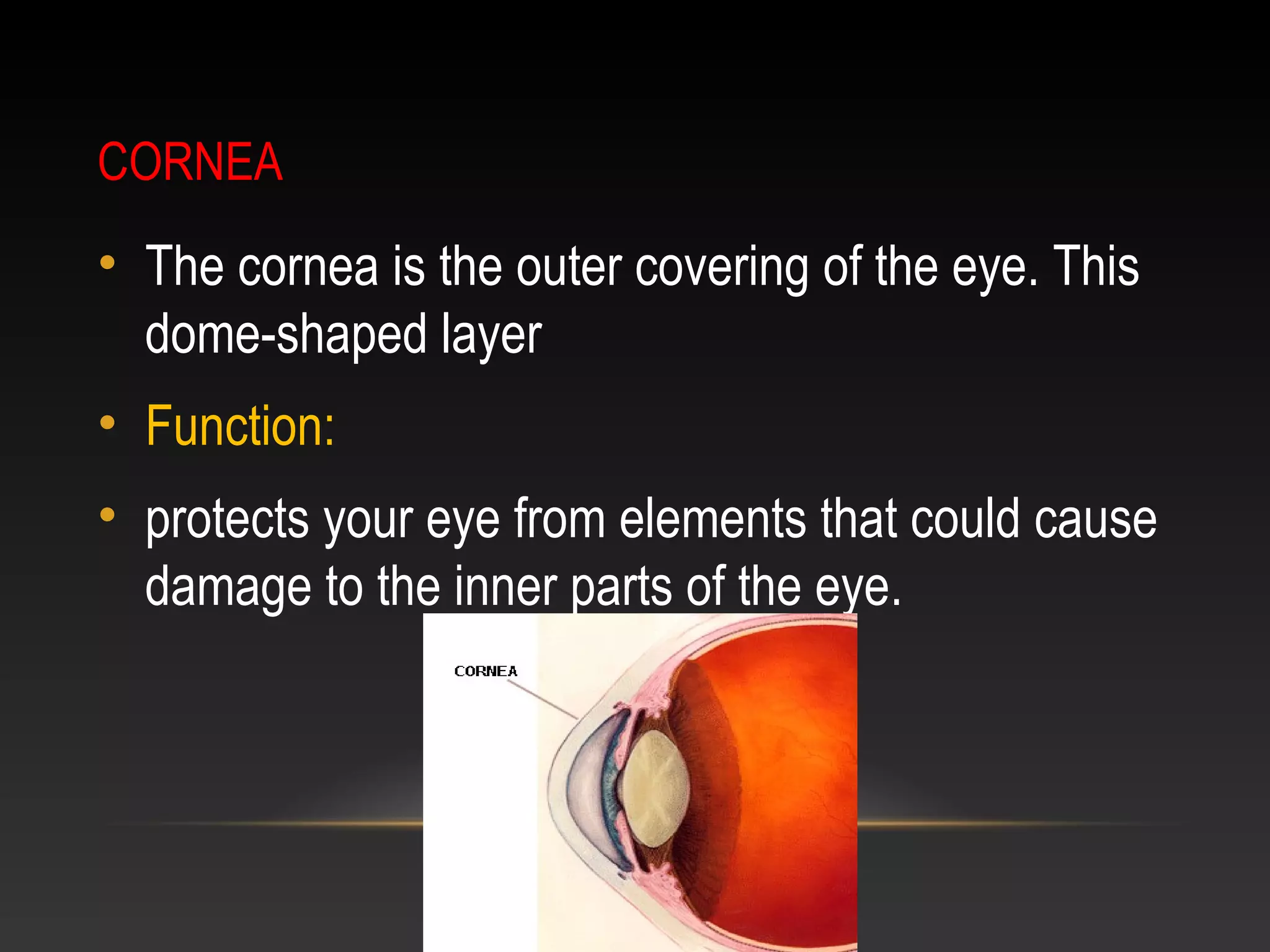 The physiology of human eye | PPT