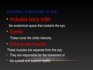 The physiology of human eye | PPT