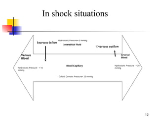 The Physiology of Shock of human brain.ppt