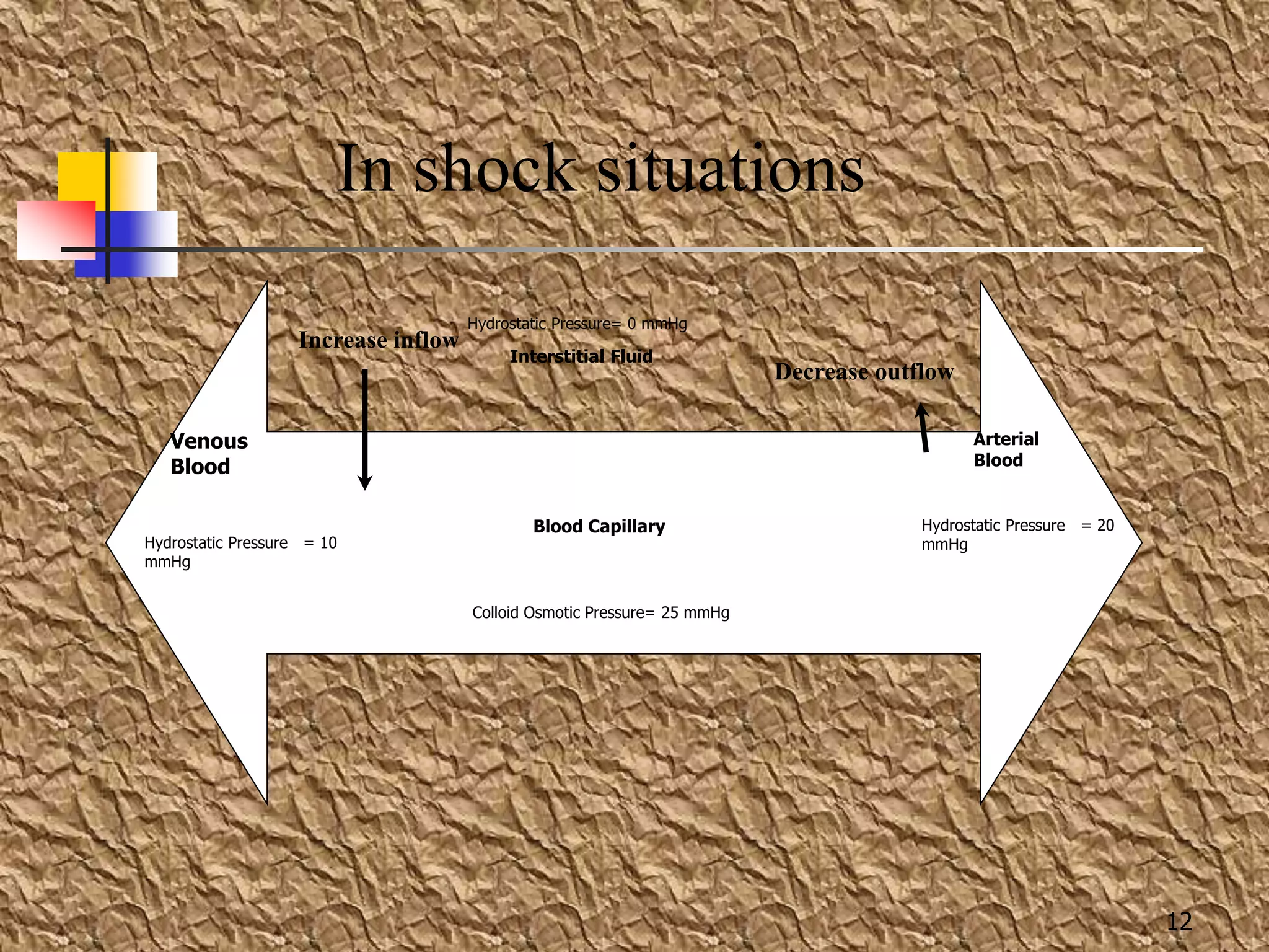 The physiology of shock | PPT