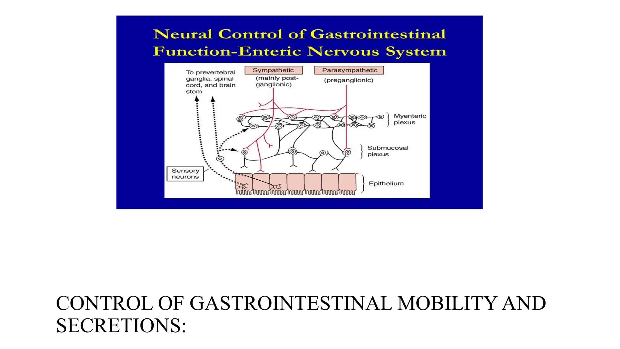 The Physiology of the Gastrointestinal Tract (GIT (complete).pptx