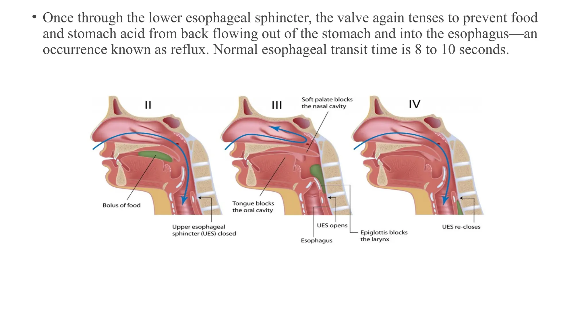 The Physiology of the Gastrointestinal Tract (GIT (complete).pptx
