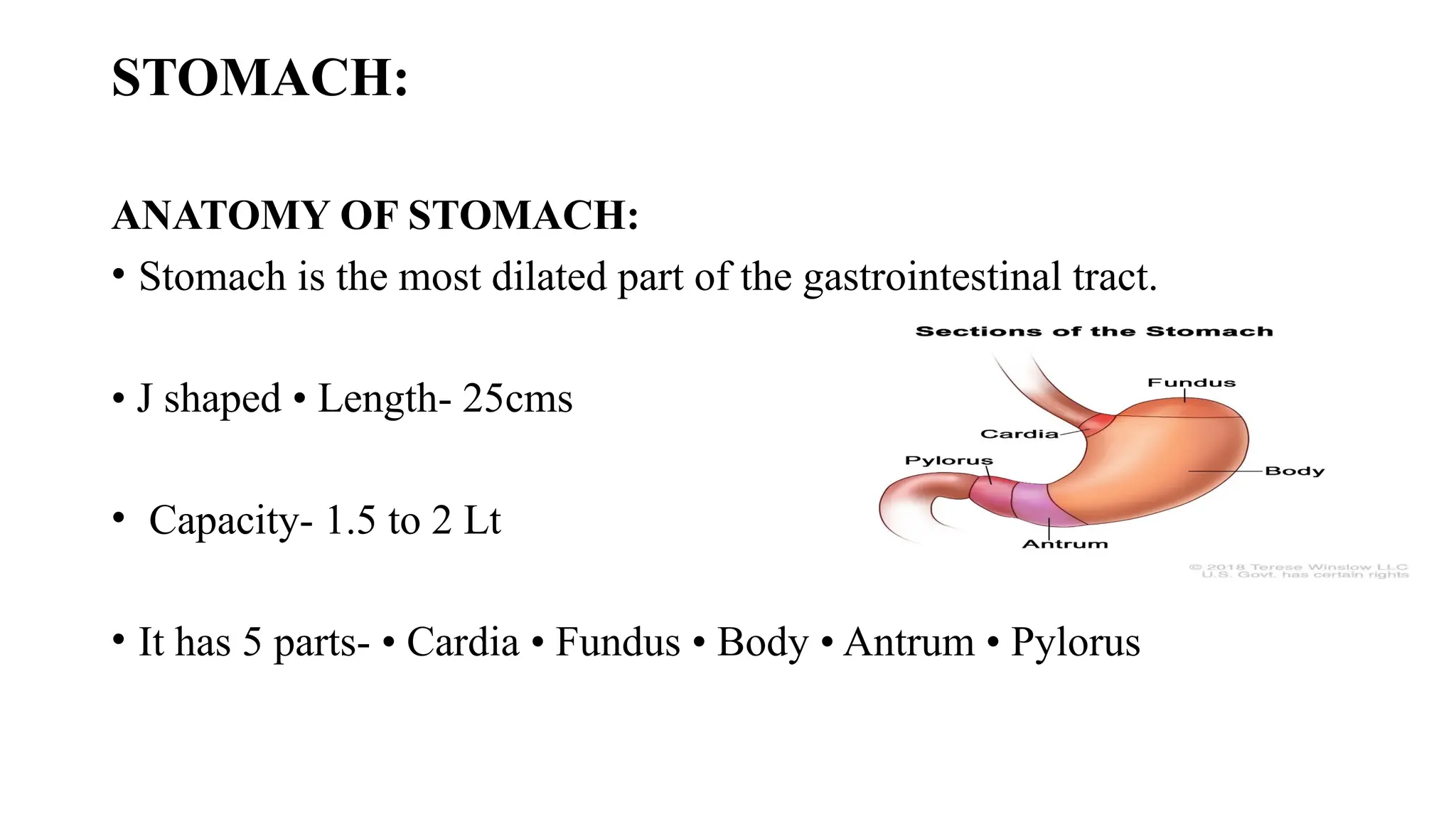 The Physiology of the Gastrointestinal Tract (GIT (complete).pptx