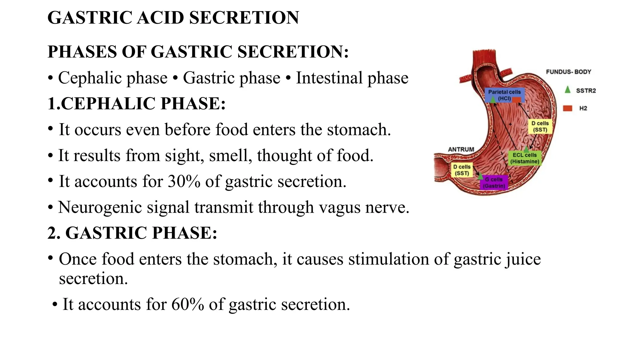 The Physiology of the Gastrointestinal Tract (GIT (complete).pptx