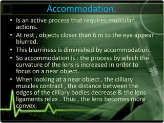 The physiology of vision part 1 | PPT