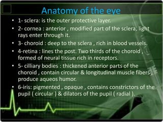 The physiology of vision part 1 | PPT