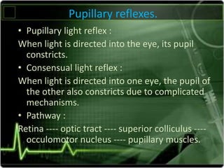 The physiology of vision part 1 | PPT
