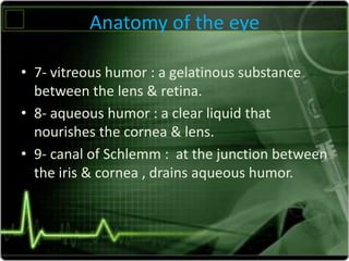 The physiology of vision part 1 | PPT