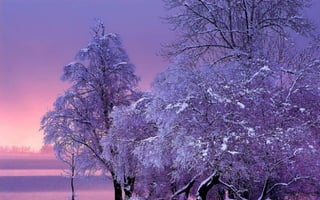 The pink winter...Chris Rea - Winter Song | PPTX