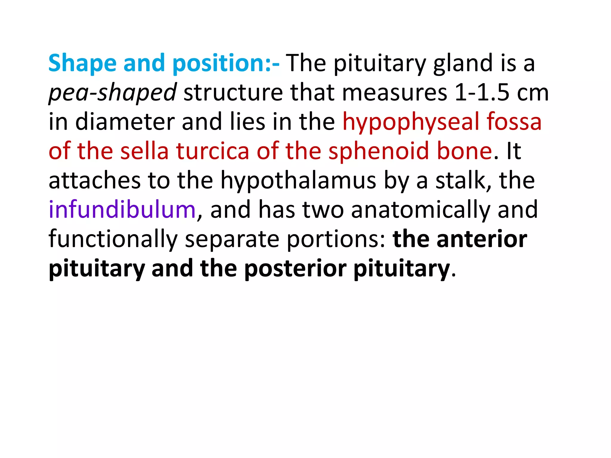 Pituitary Gland- Anatomy and Physiology | PPTX