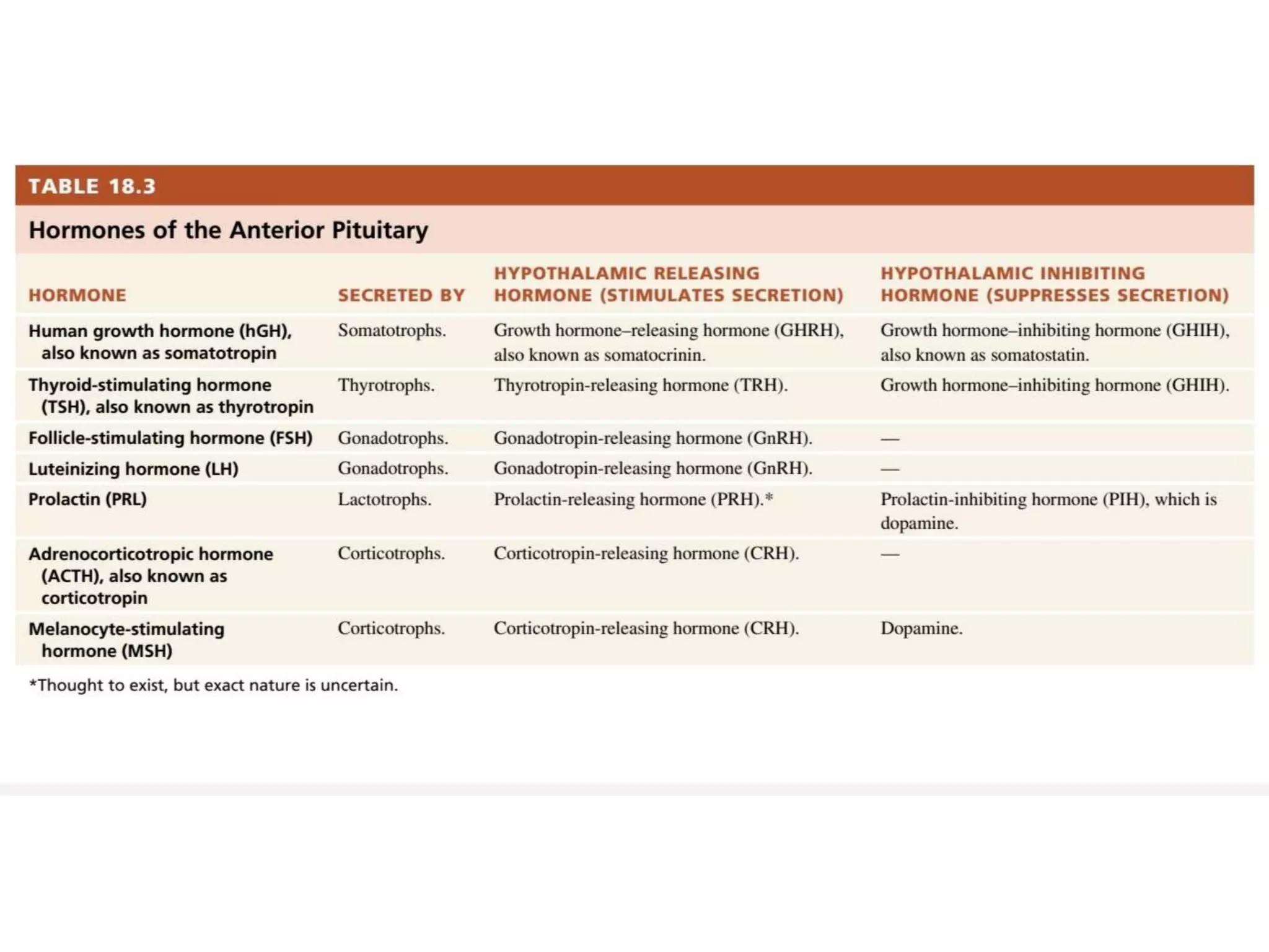 Pituitary Gland- Anatomy and Physiology | PPTX
