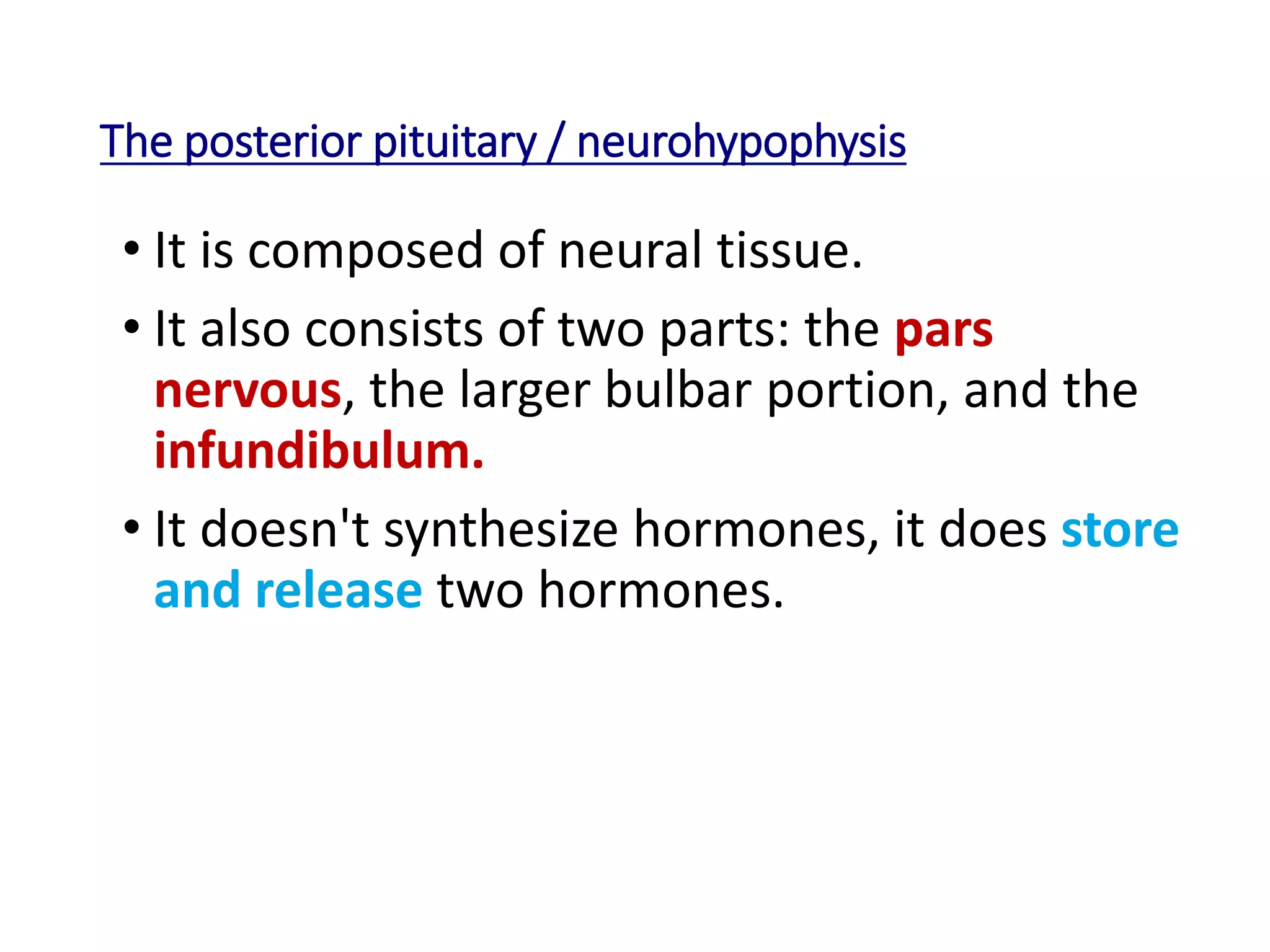 Pituitary Gland- Anatomy and Physiology | PPTX