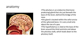 The Pituitary Gland.pptx