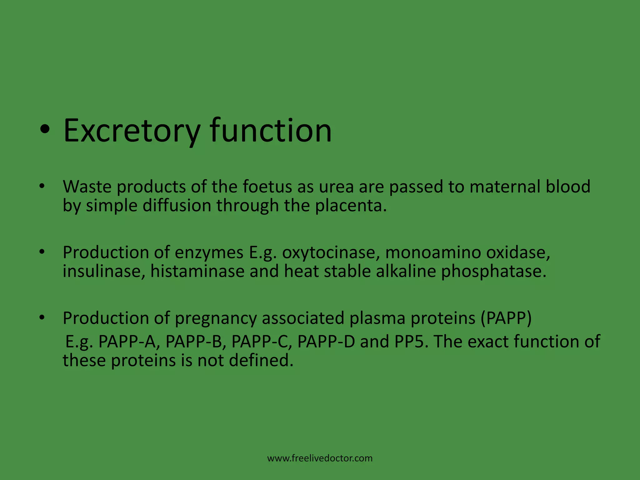 The placenta | PPTX