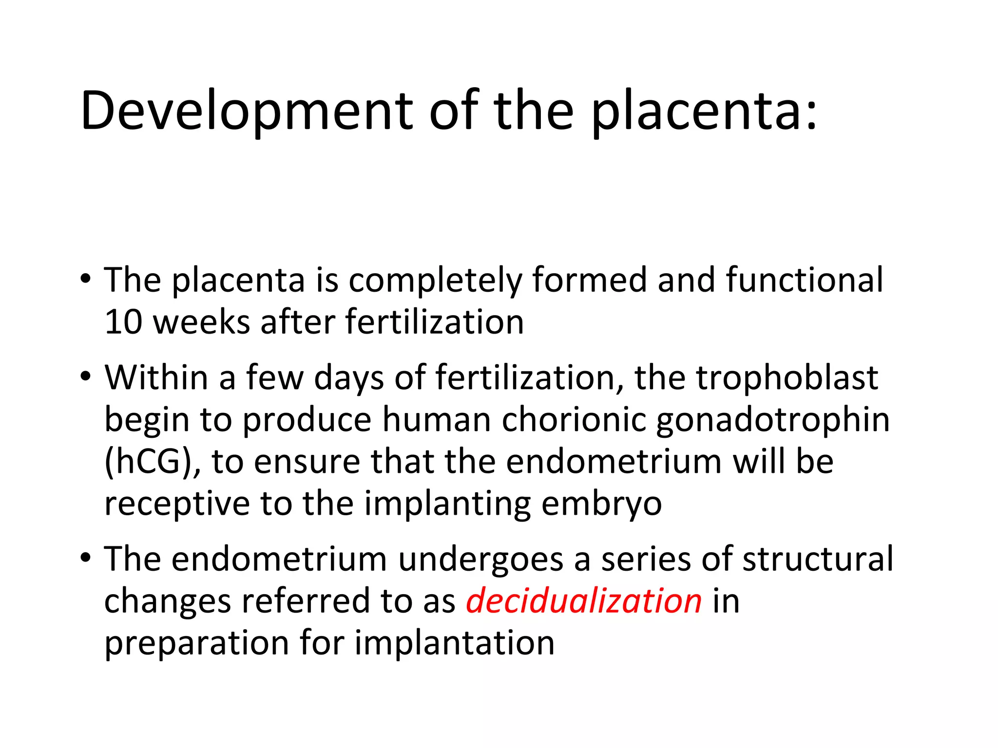 THE PLACENTA.pptx
