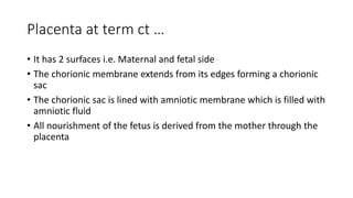 THE PLACENTA (1).pdf